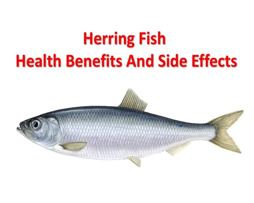 Water spinach (Kalmi Shaak) Eating of Health Benefits