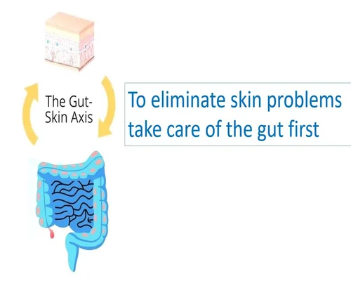 To eliminate skin problems, take care of the gut first
