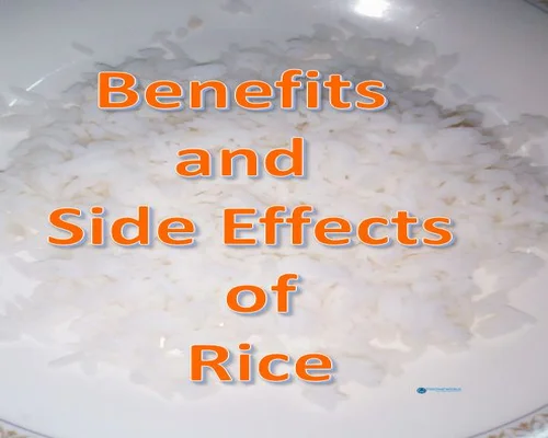 5 Health Benefits and Side Effects of Rice